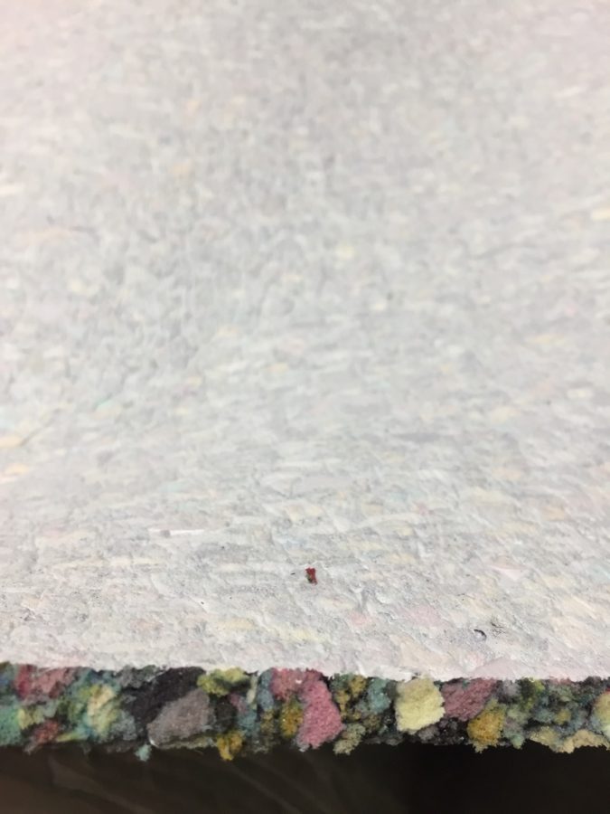 Carpet Padding 101: What Is It And Why Do You Need It