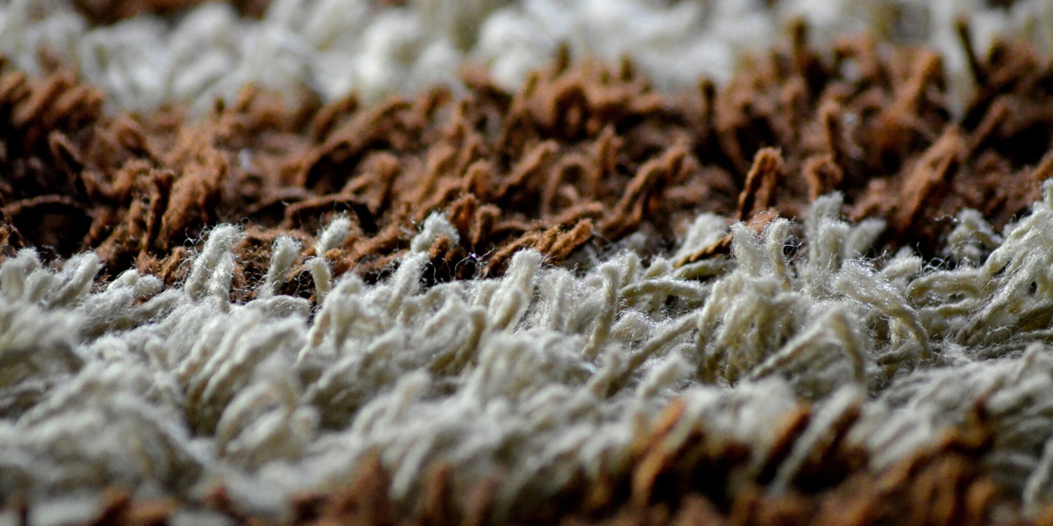 6 types of carpet texture and their pros and cons | Carpet Cave